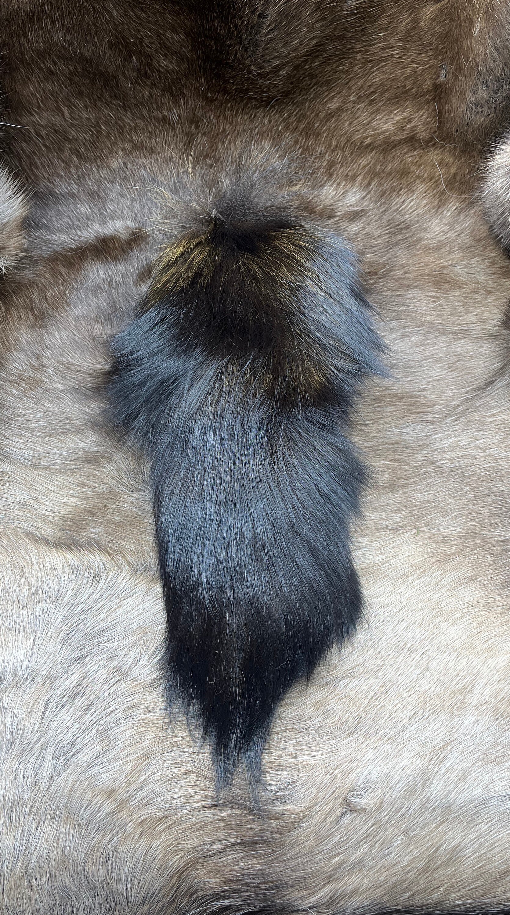 Fox Fur Tail Faux Tail Tails - Etsy