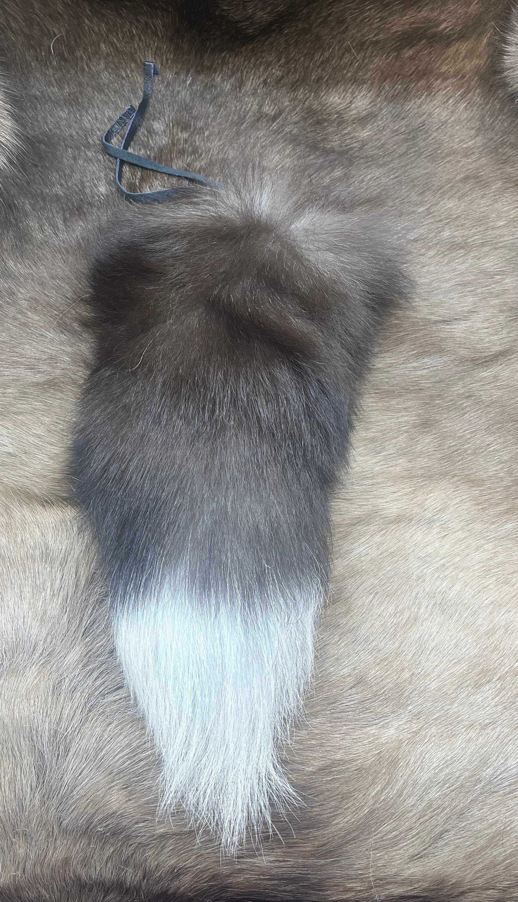 FOX FUR DESIGN Tail Durable Fur Tail Natural Fox Tail Genuine Fur Tail ...