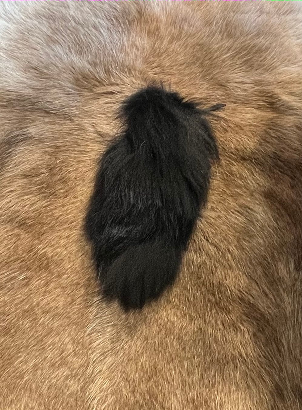 PERFECT FUR TAIL | Fox Fur Accessory | Aesthetic Fox Tails | Fox Fur ...