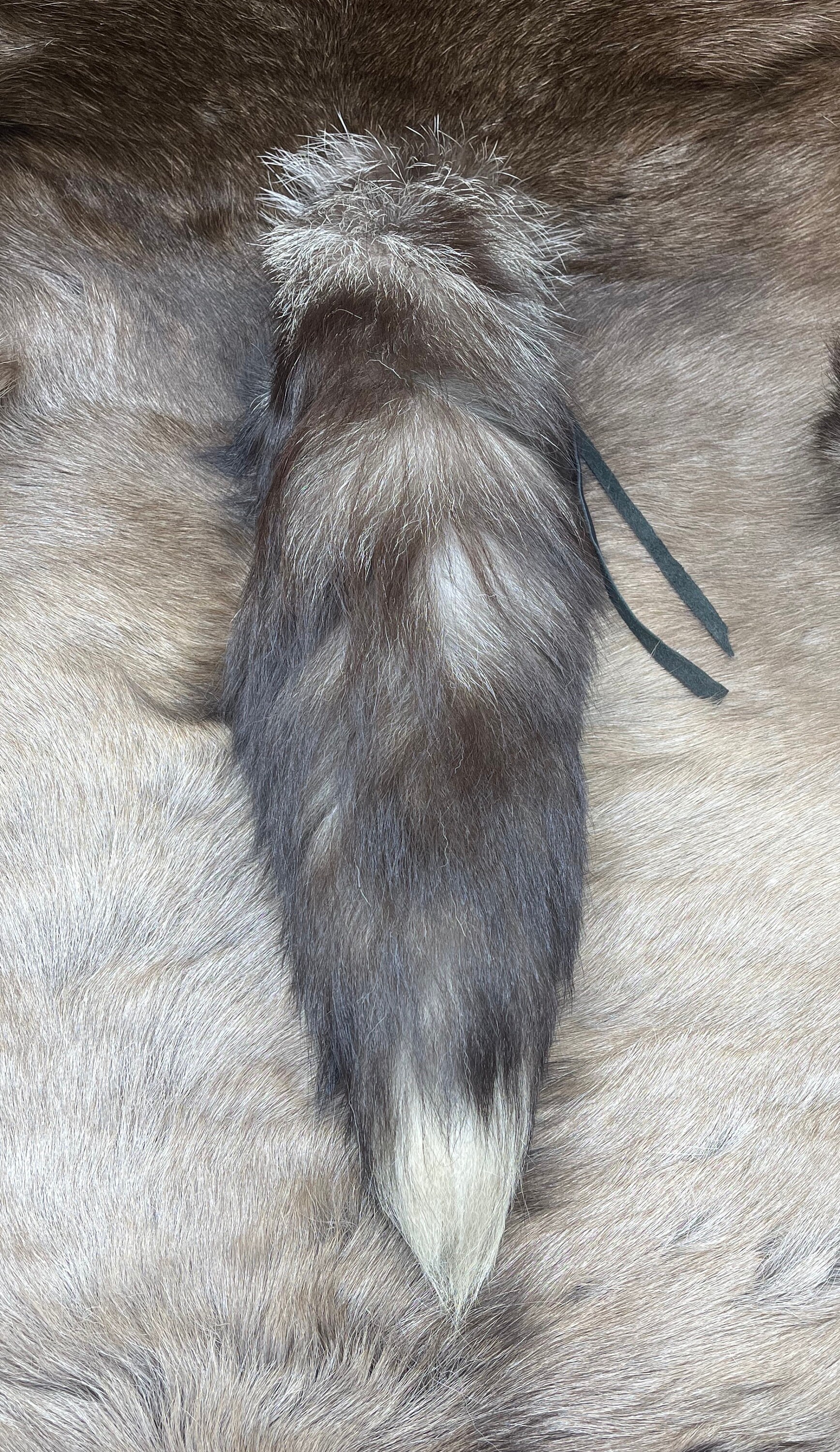 Fox Fur Tail Faux Tail Tails - Etsy