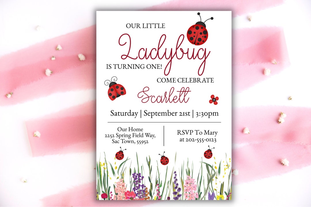 Ladybug Birthday Invitation - First Birthday - Our Little Lady Bug ...