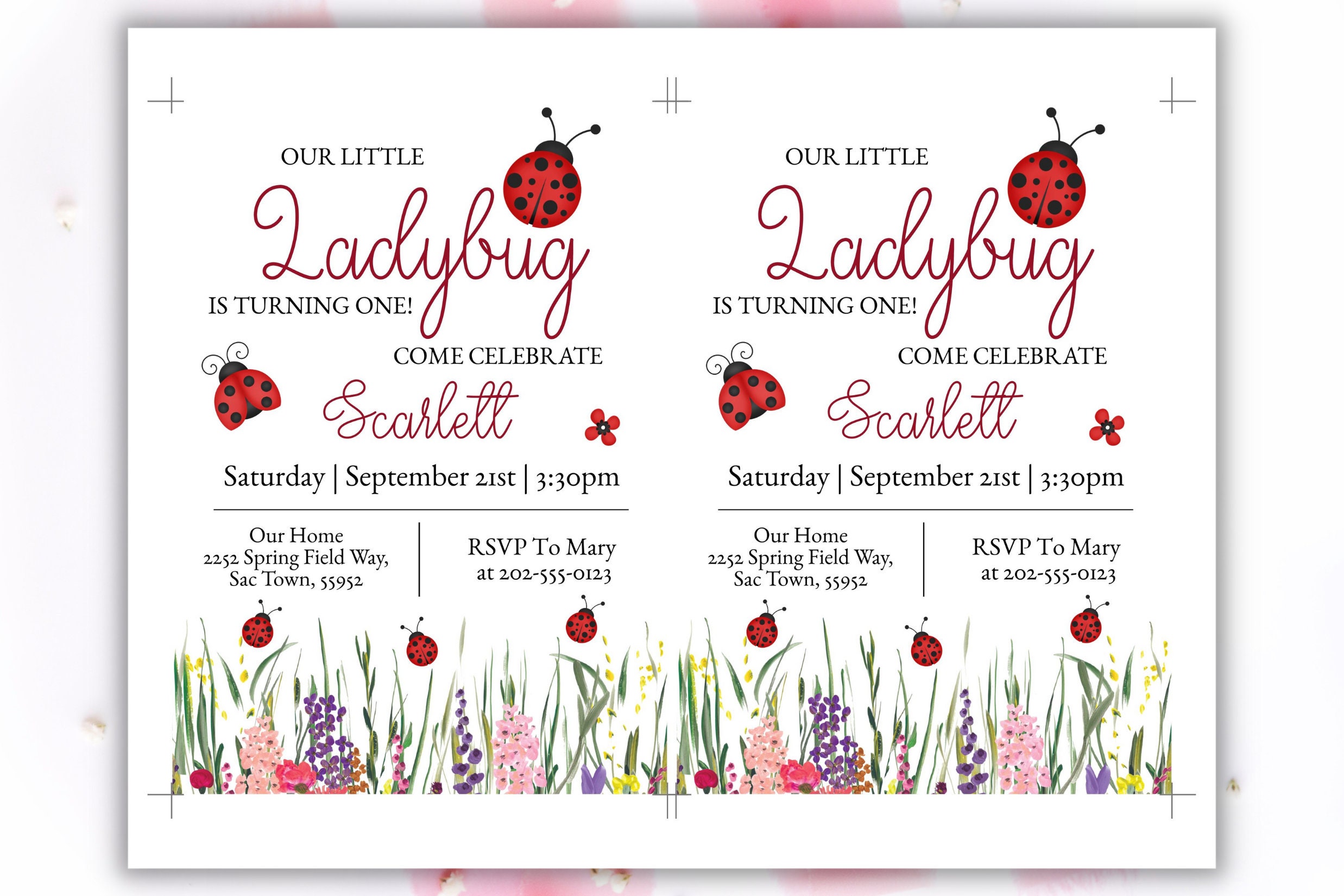 Ladybug Birthday Invitation - First Birthday - Our Little Lady Bug ...