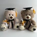 Graduation Teddy Bear Personalized Name and Year Congrats - Etsy