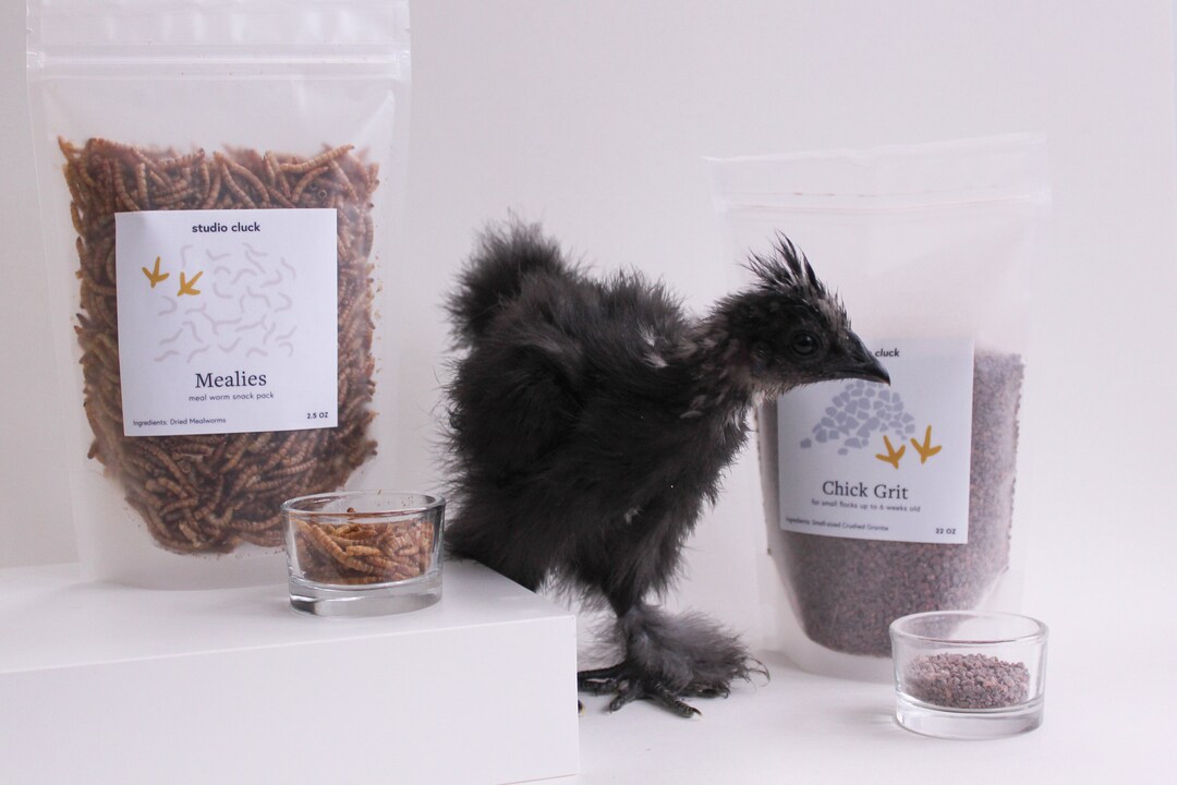 Hoppers Chicken Snack, Gourmet Treats for Chickens, Premium Chicken ...