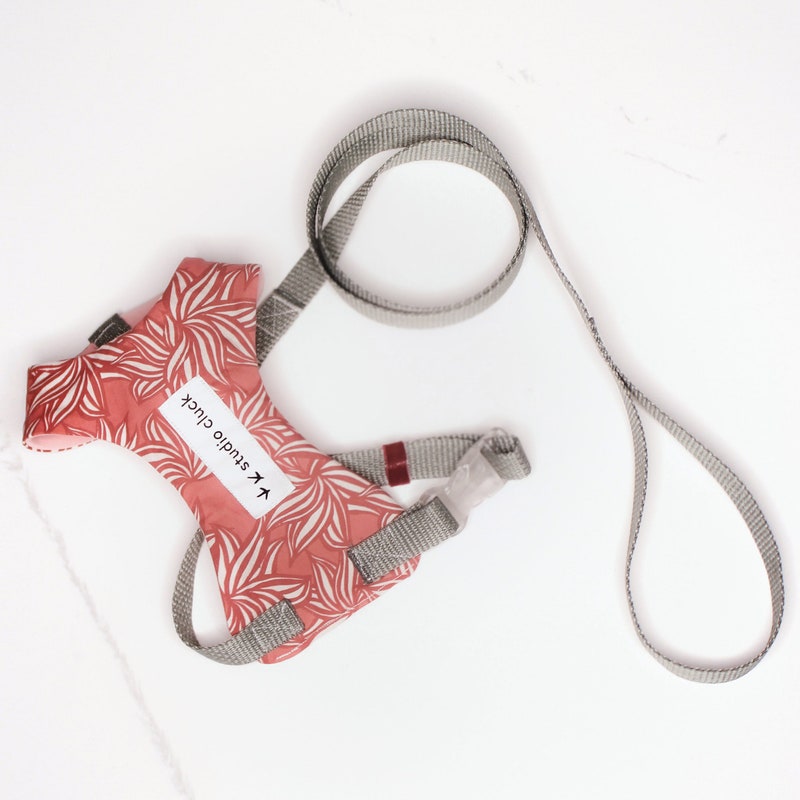 Harness for Chickens - Etsy