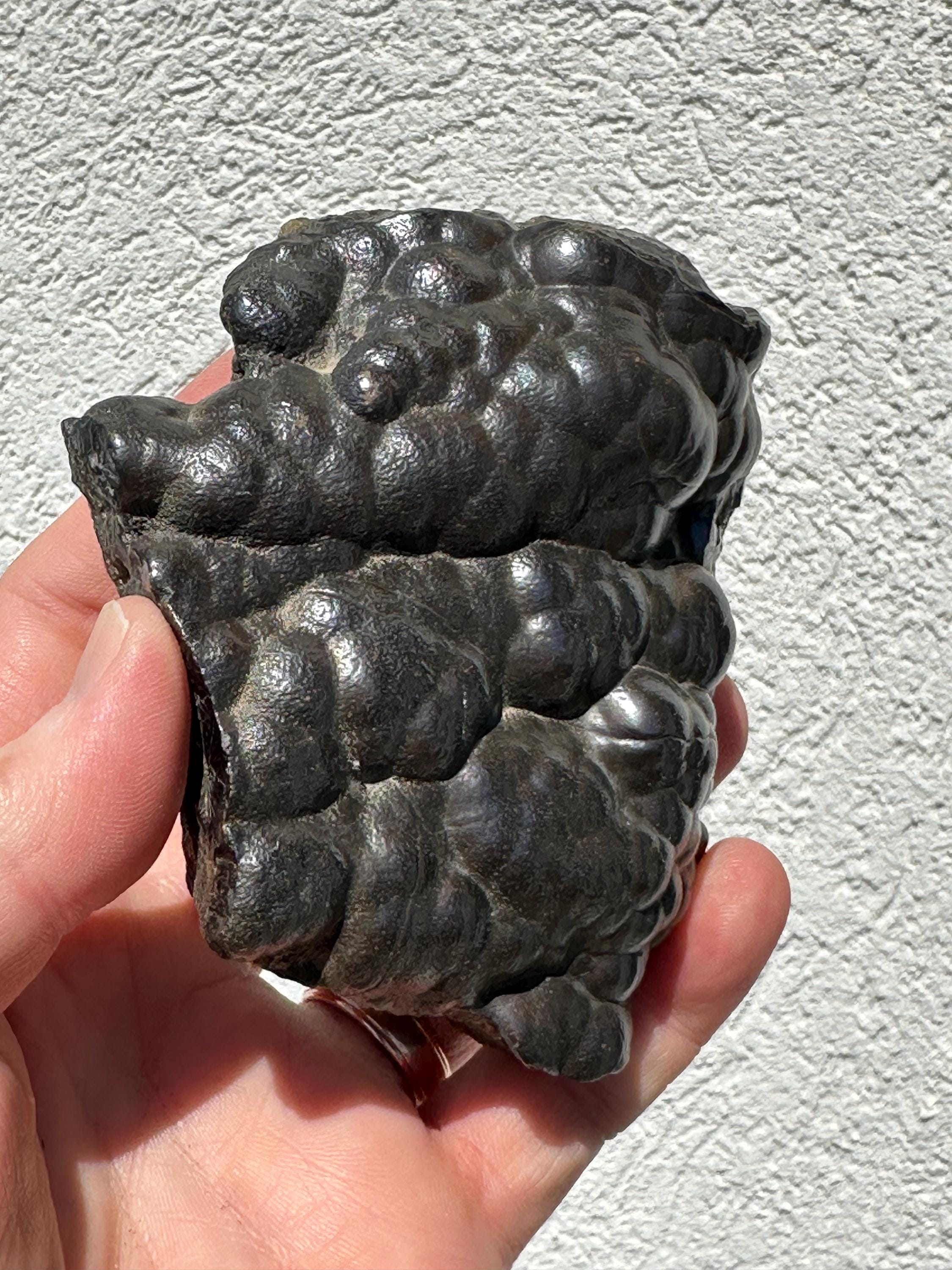 Bubbly 3.9-inch Botryoidal Hematite - Irhoud Mine, Safi Province ...