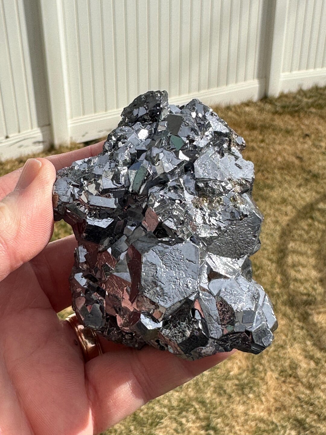 Hug Yer Cat and Kiss Yer Car! 3.0-inch Galena With Sphalerite - Rhodope ...