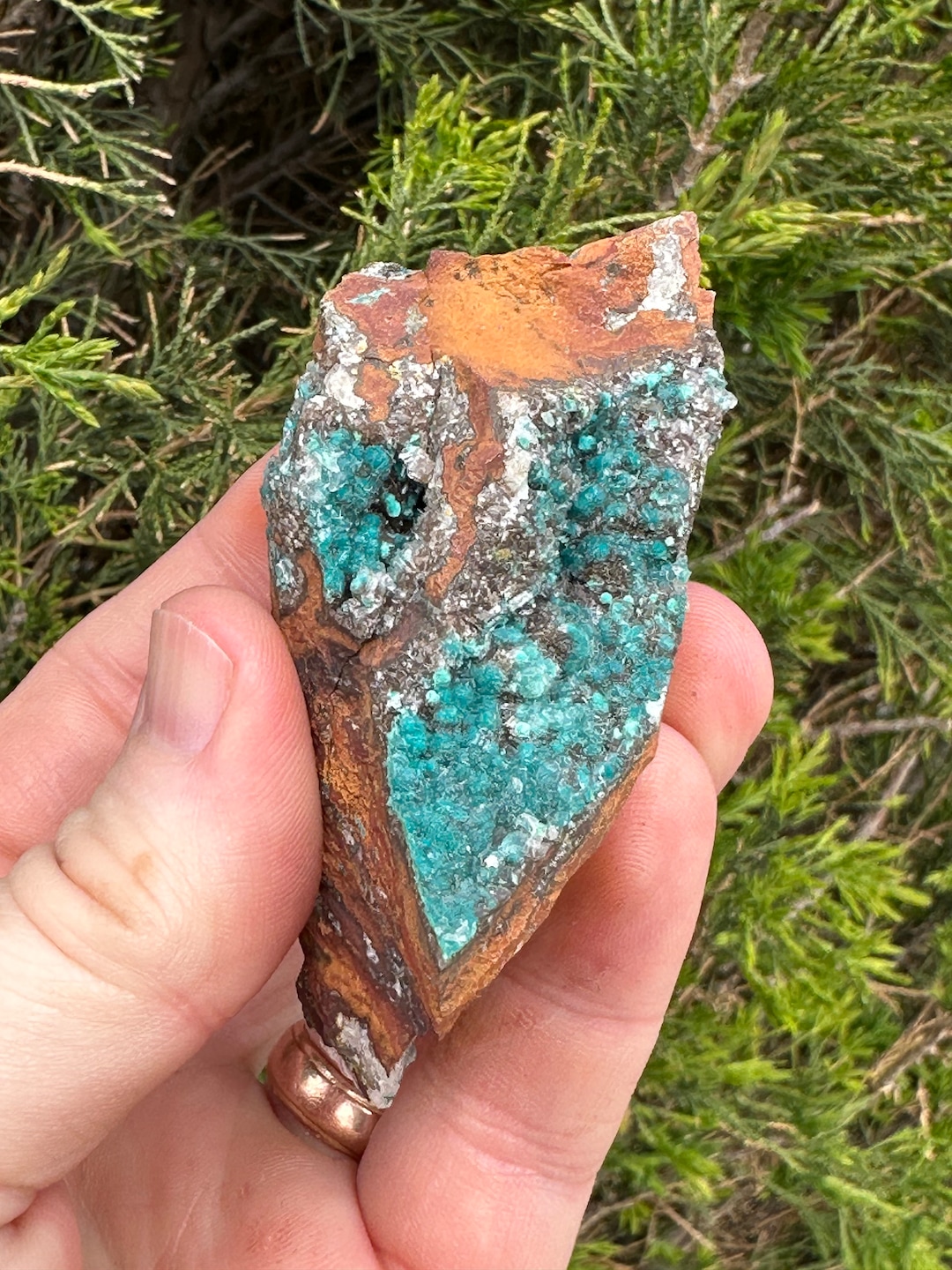 Fantastic 2.3-inch Rosasite and Hemimorphite - Mina Ojuela, Mapini ...