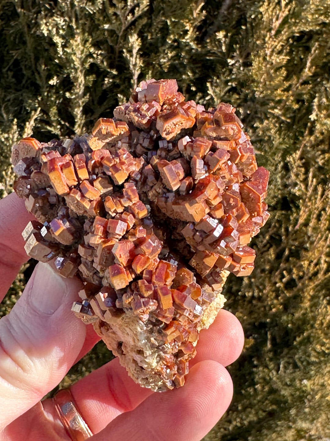 Beautiful Rock Scabs! 2.5-inch Bright Red Vanadinite Crystals, Mibladen ...