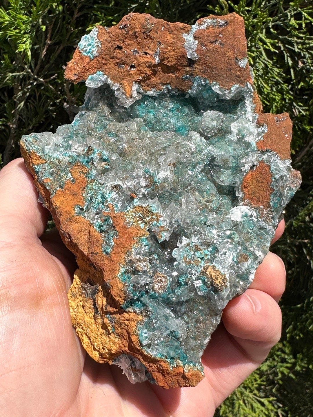 Fantastic 5.1-inch Rosasite and Hemimorphite - Mina Ojuela, Mapini ...