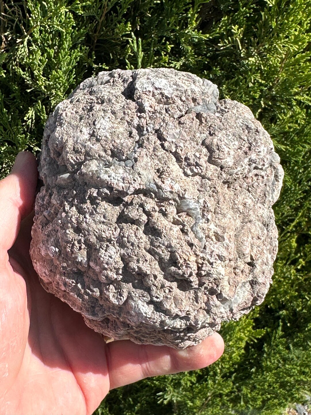 Round and for Sale! 4.2-inch UV Reactive Trancas Geode - Chihuahua ...