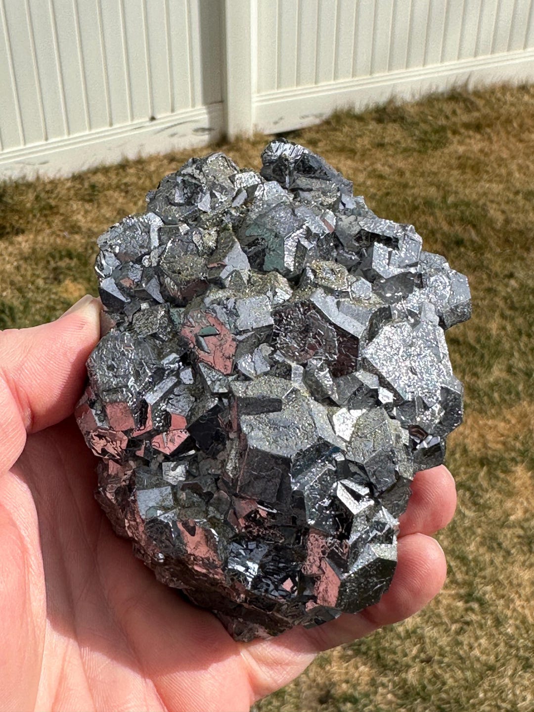 Hug Yer Cat and Kiss Yer Car! 3.6-inch Galena With Sphalerite - Rhodope ...