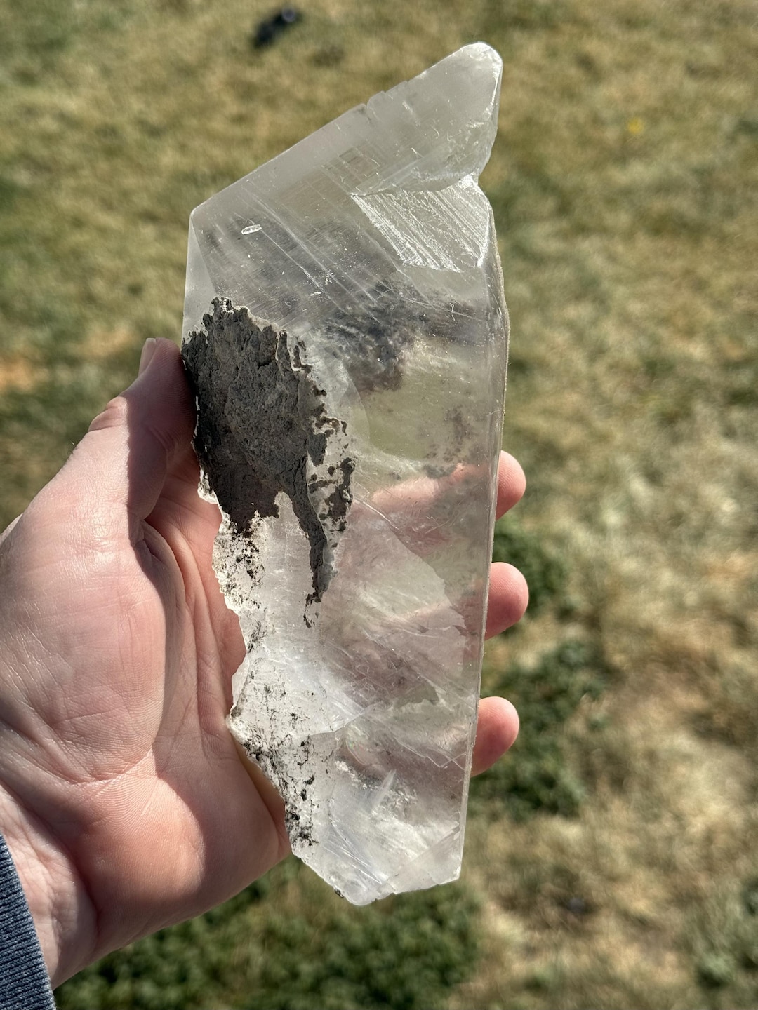 It's Clear! 7.1-inch Selenite Crystal - La Platosa Mine, Bermejillo ...