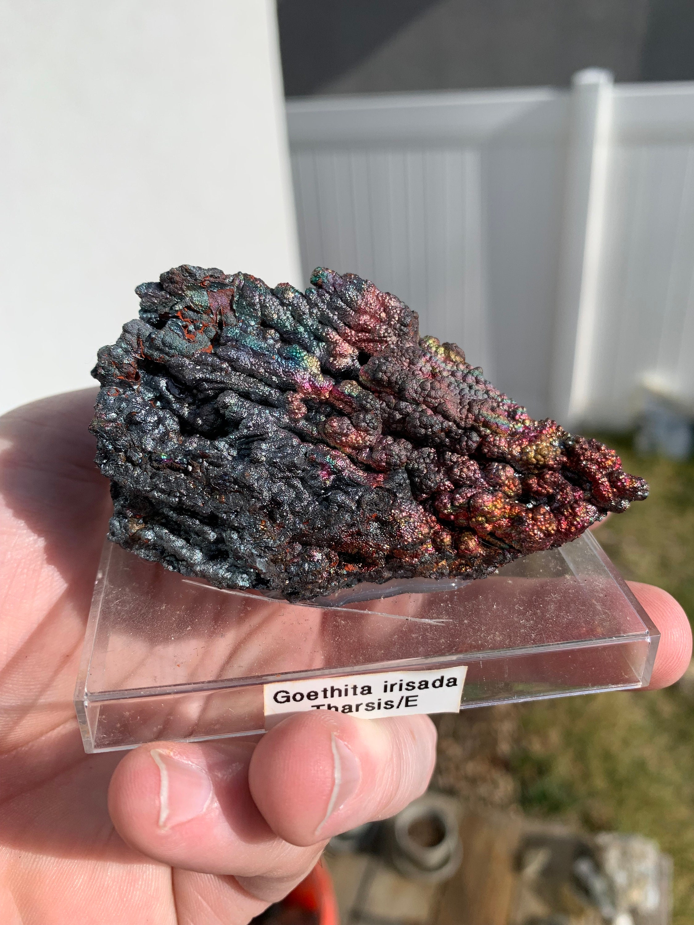 Rare 3.1-inch Iridescent Goethite turgite Tharsis Spain - Etsy