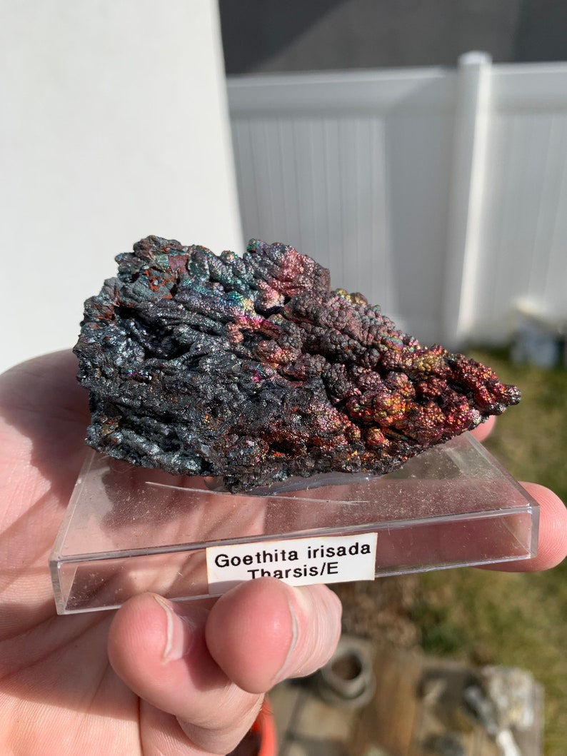 Rare 3.1-inch Iridescent Goethite (turgite) - Tharsis, Spain - Etsy