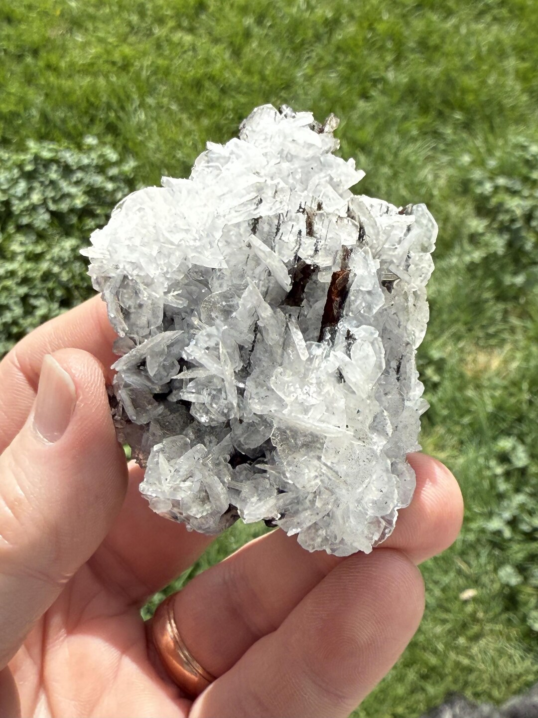Rocks and MICE? 2.3-inch Mouse-ear Calcite - Ojuela Mine, Mapimi ...