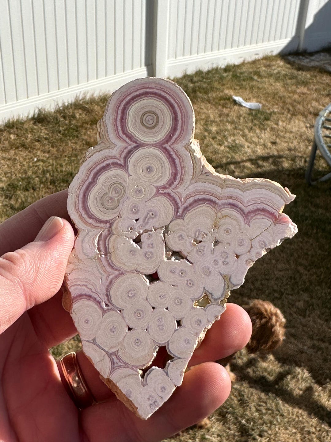 Petrified Brain Scan! 4.3-inch "inca Rose" Rhodochrosite With GALENA ...