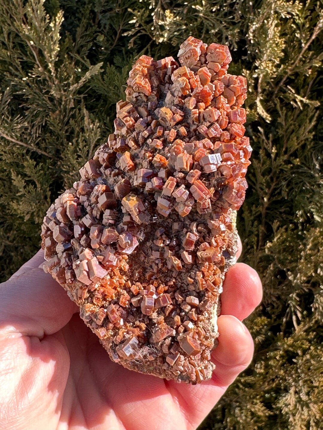 Beautiful Rock Scabs! 4.6-inch Bright Red Vanadinite Crystals, Mibladen ...