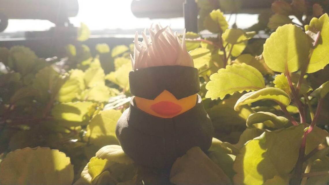 Ducks With Costume Satoru Gojo | Etsy Canada