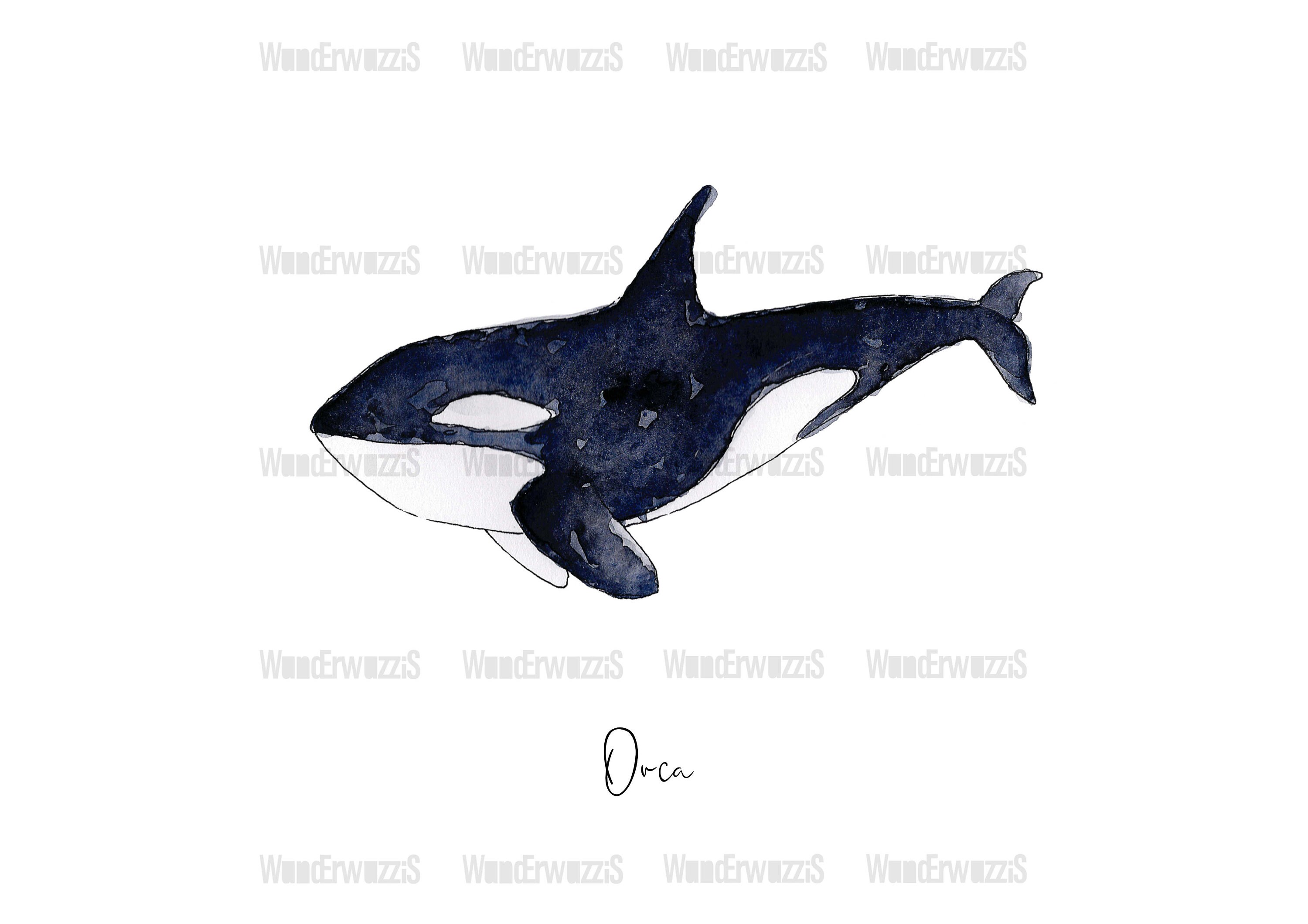 Wale Poster | Orca | Blauwal | Buckelwal | Pottwal | Nordkaper ...