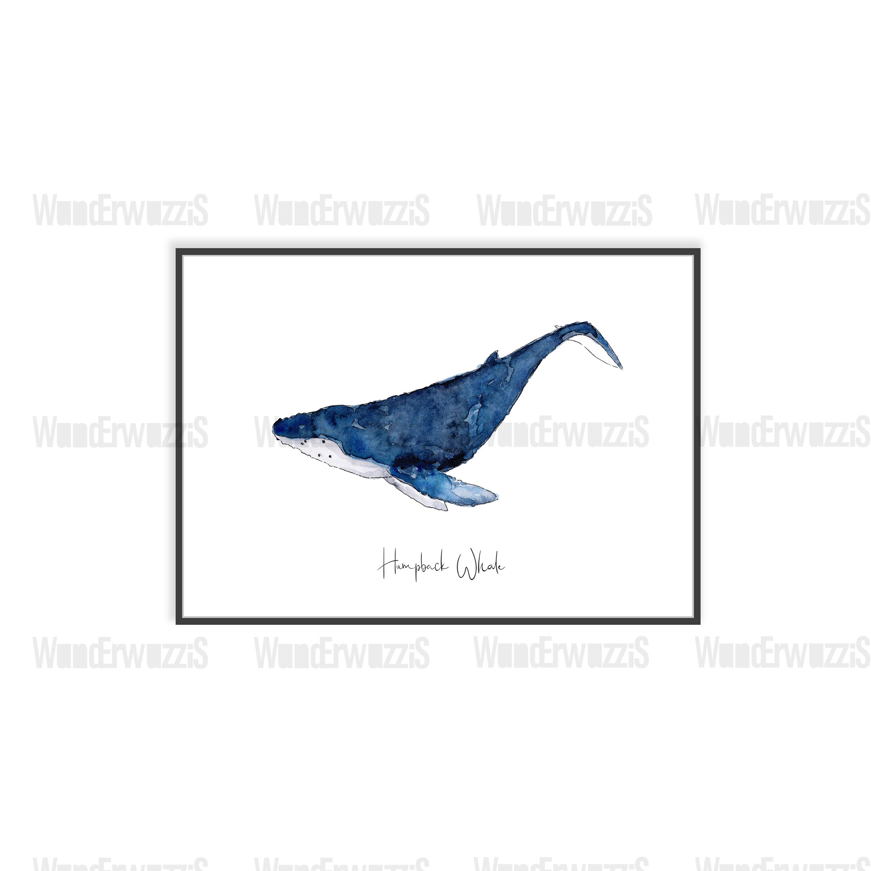 Wale Poster | Orca | Blauwal | Buckelwal | Pottwal | Nordkaper ...