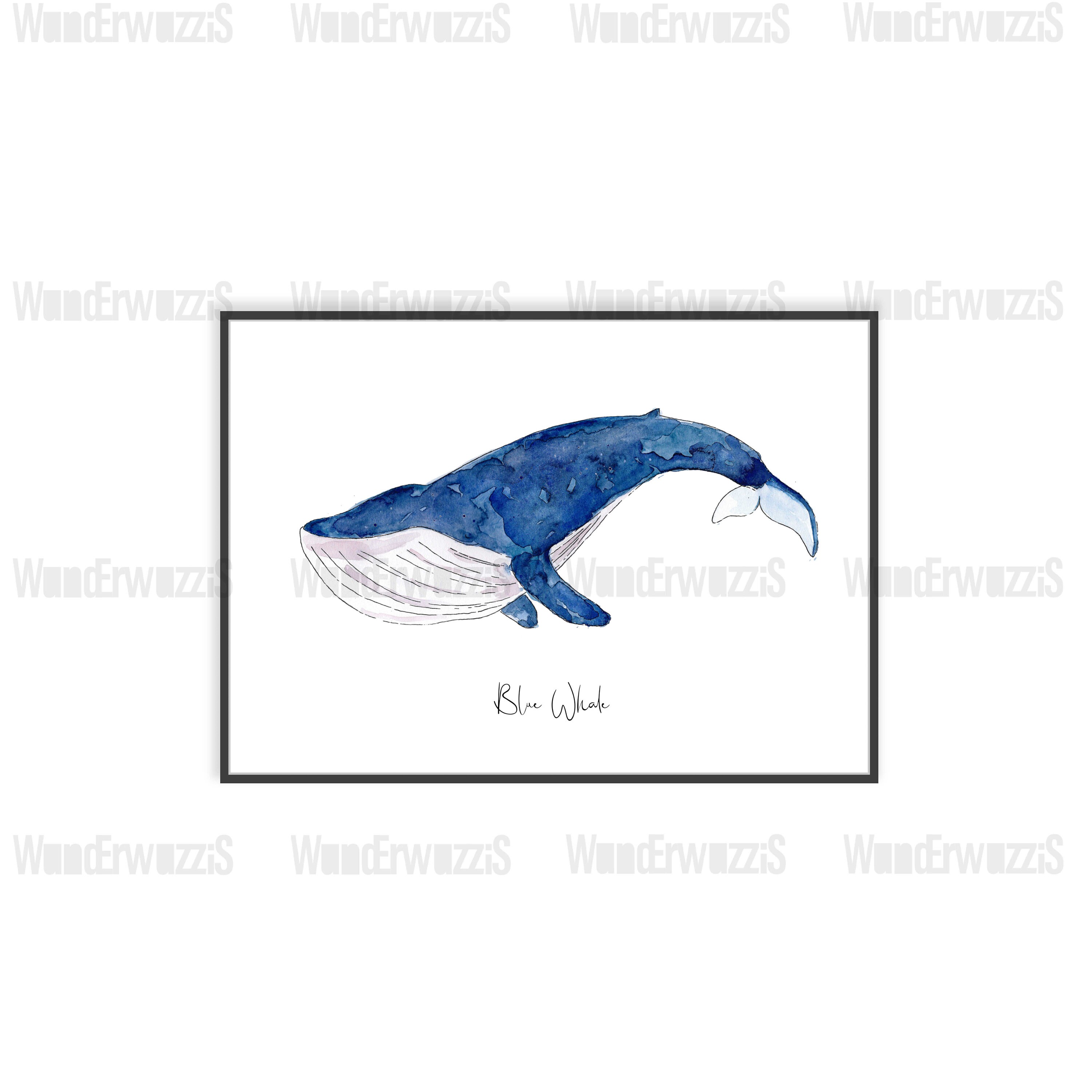 Wale Poster | Orca | Blauwal | Buckelwal | Pottwal | Nordkaper ...