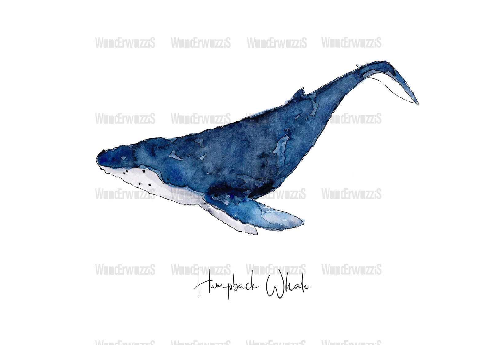 Wale Poster | Orca | Blauwal | Buckelwal | Pottwal | Nordkaper ...