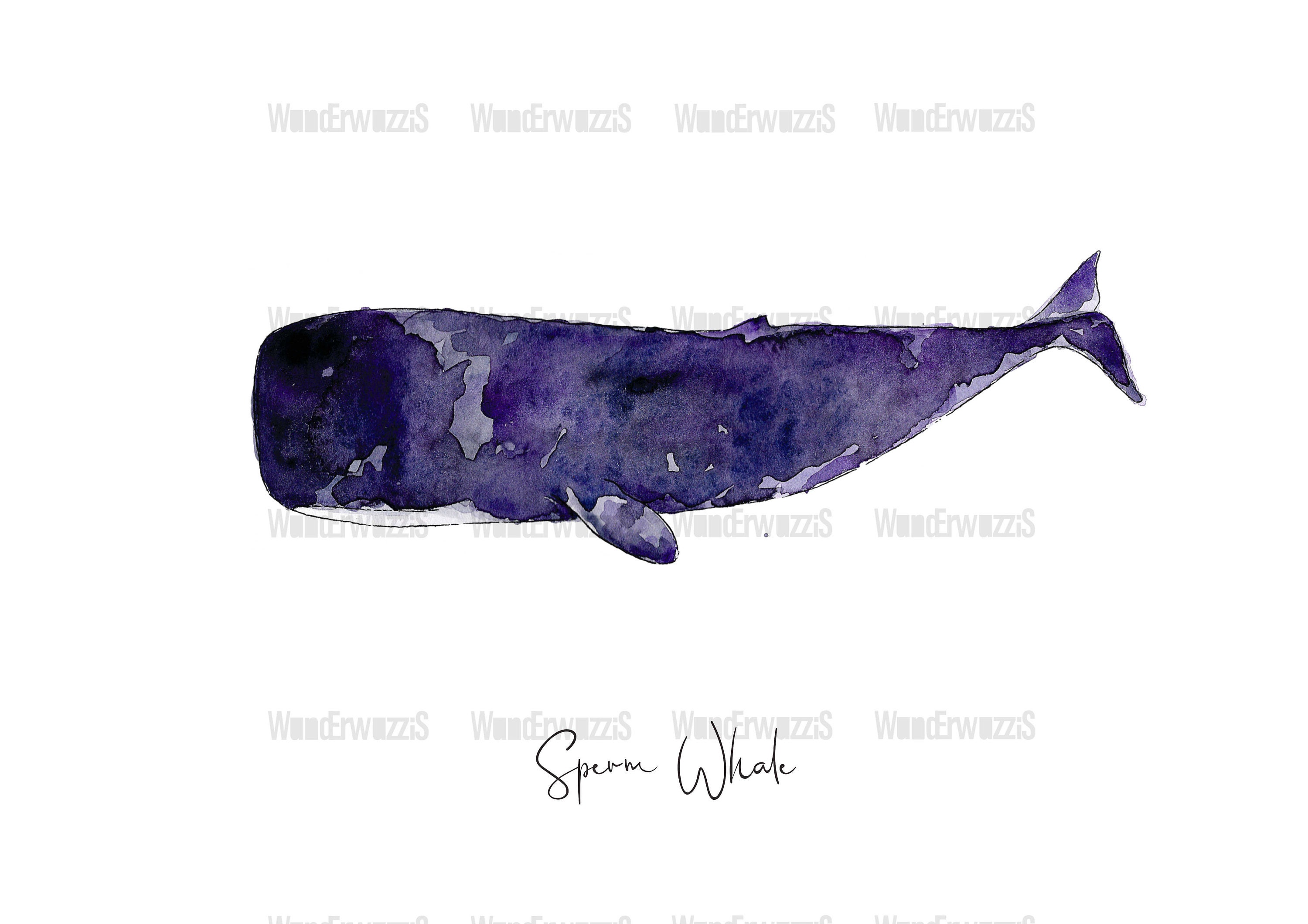 Wale Poster | Orca | Blauwal | Buckelwal | Pottwal | Nordkaper ...