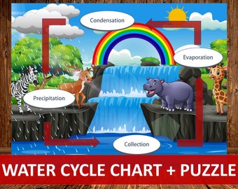 Water Cycle Science Game - Etsy