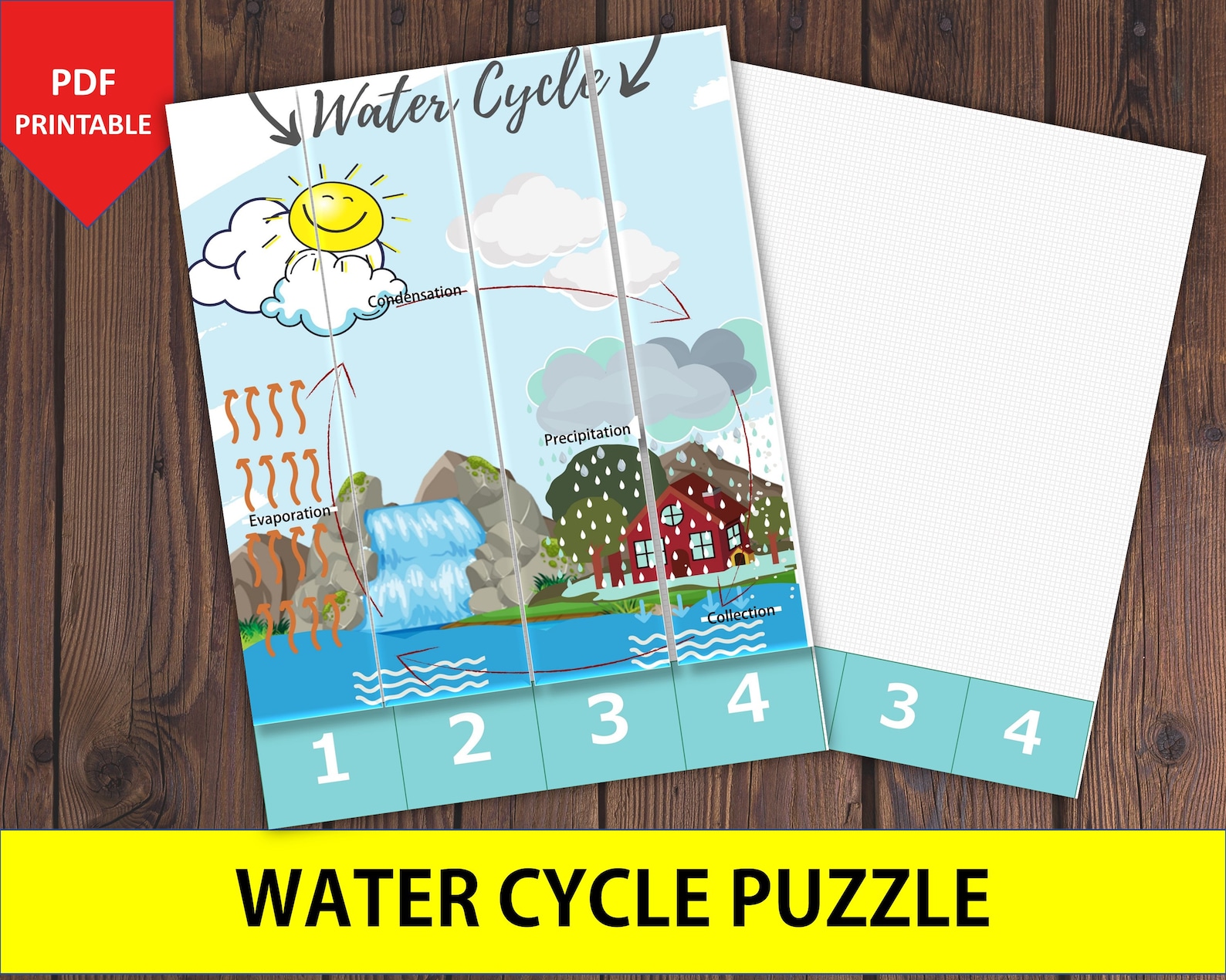 Water Cycle Puzzle,water Cycle Kids Activity,nature Study,science Game ...