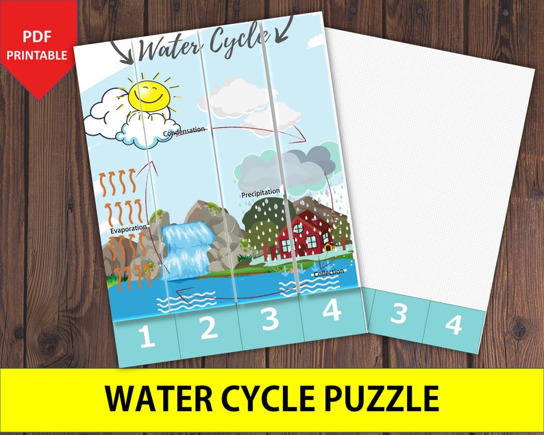 Water Cycle Puzzle,water Cycle Kids Activity,nature Study,science Game ...