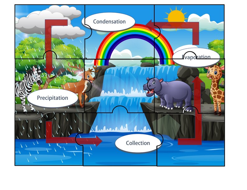 Water Cycle Activity, Kids Science Worksheet,nature Study,science Game ...