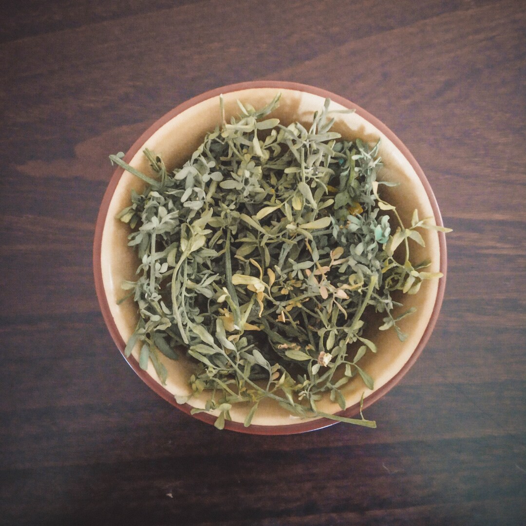 Dried Rue Spiritual Protection & Clarity Herb for Rituals, Wicca, Pagan ...