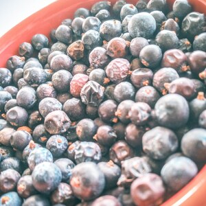Dried Juniper Berries, Juniperus Communis Berry - Witchcraft Supplies ...