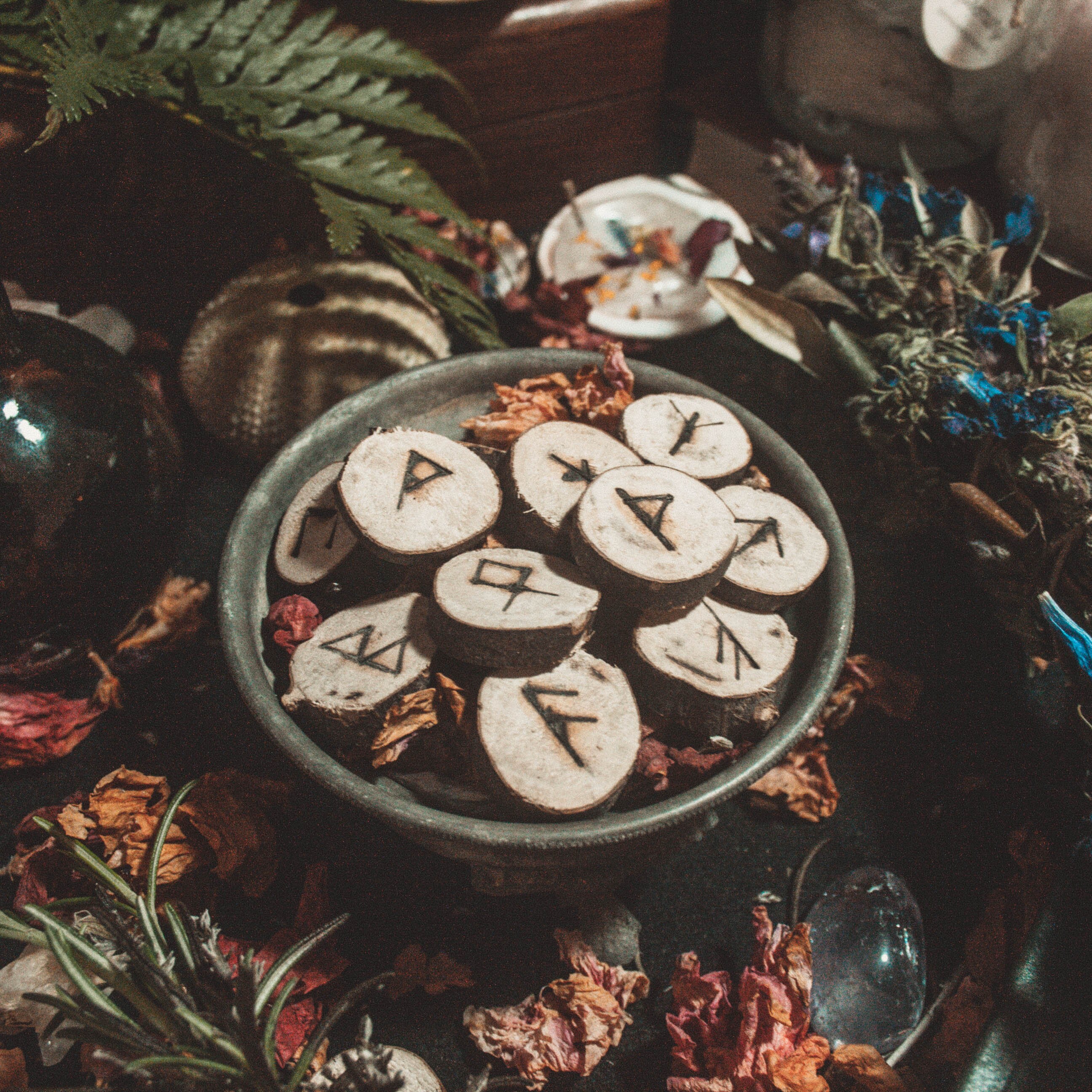 Elder Futhark Alphabet Runes in Bay Leaf Wood set of 24 - Etsy