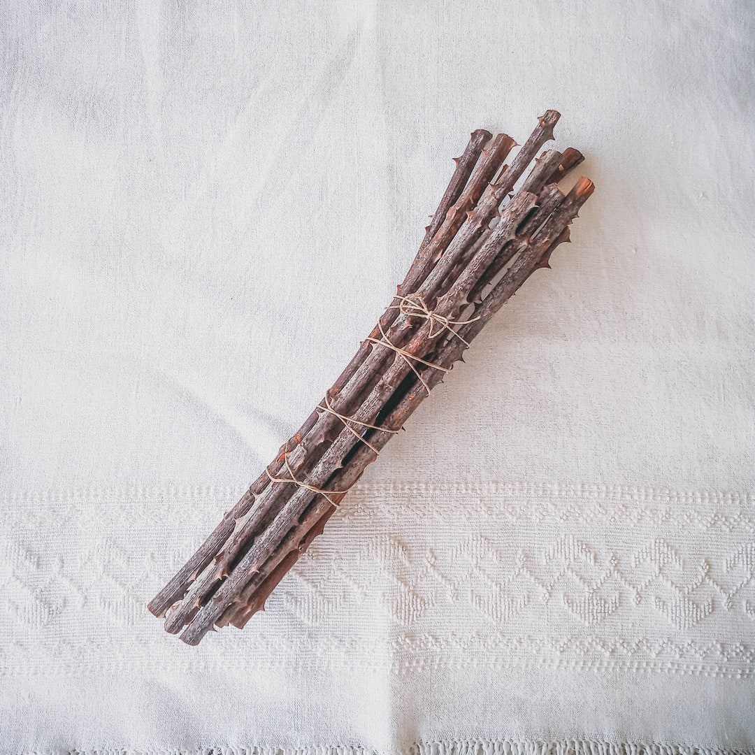 Bundle of Wooden Bramble Sticks, Dried Blackberry Branches, Thorny ...