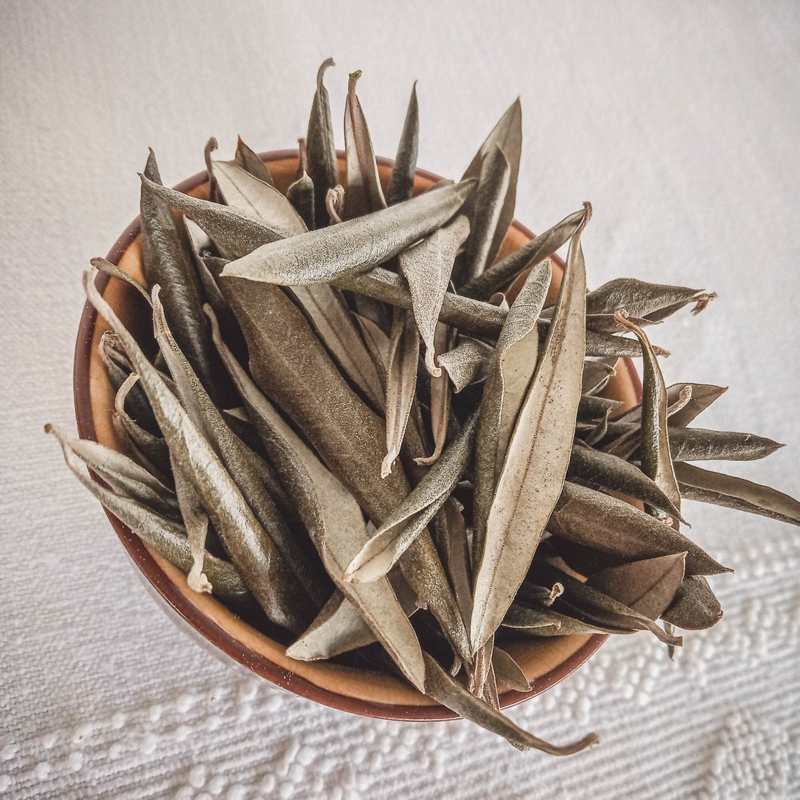 Dried Mediterranean Olive Leaves - Etsy