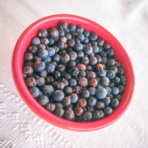 Dried Juniper Berries, Juniperus Communis Berry - Witchcraft Supplies ...