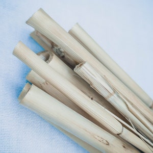 Bundle of Wild Cane Sticks, Dried Reed Stick, Dried Wooden Sticks ...