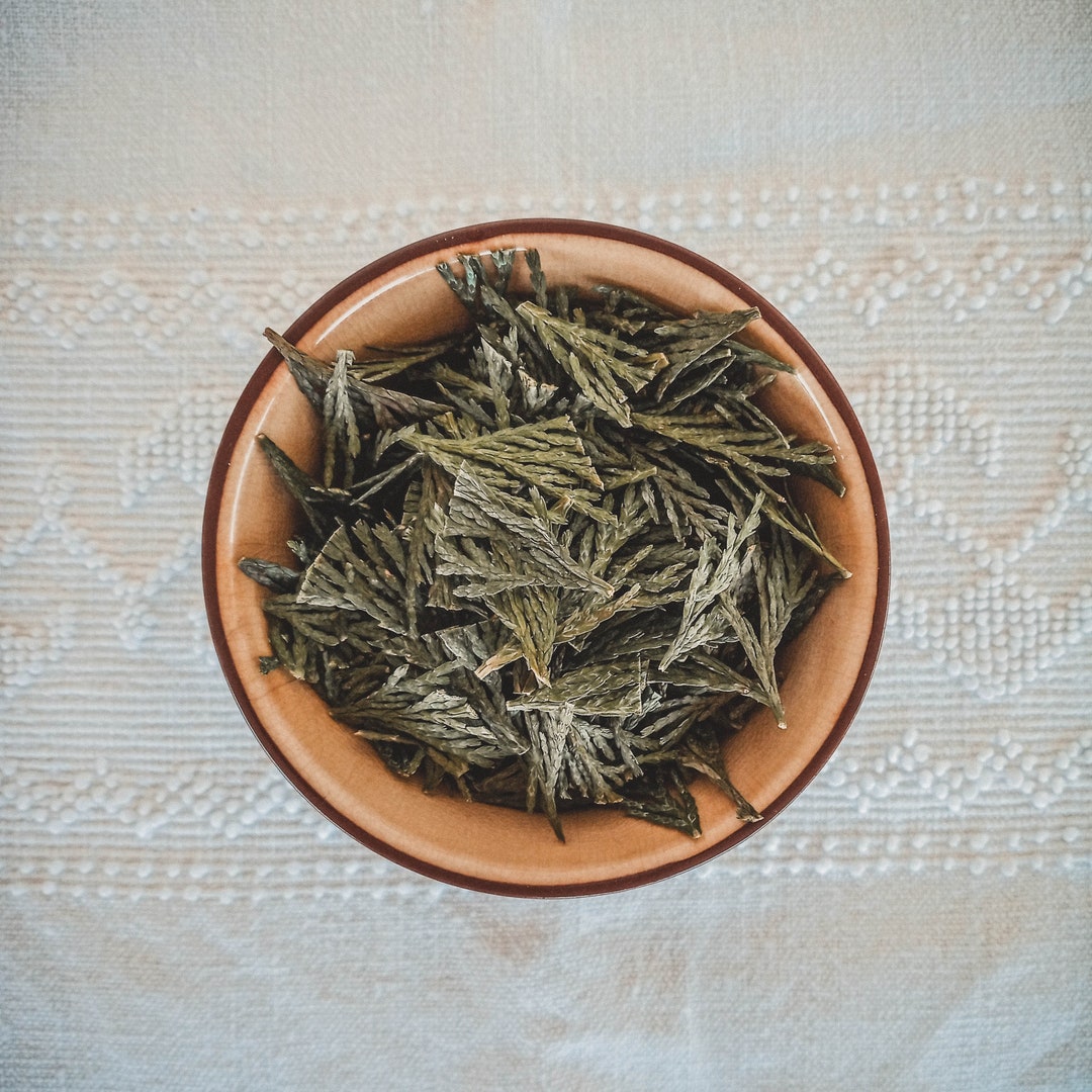 Dried Cedar Leaves - Etsy