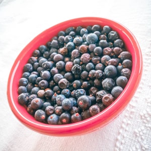 Dried Juniper Berries, Juniperus Communis Berry - Witchcraft Supplies ...