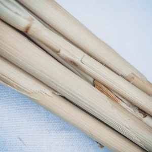 Bundle of Wild Cane Sticks, Dried Reed Stick, Dried Wooden Sticks ...