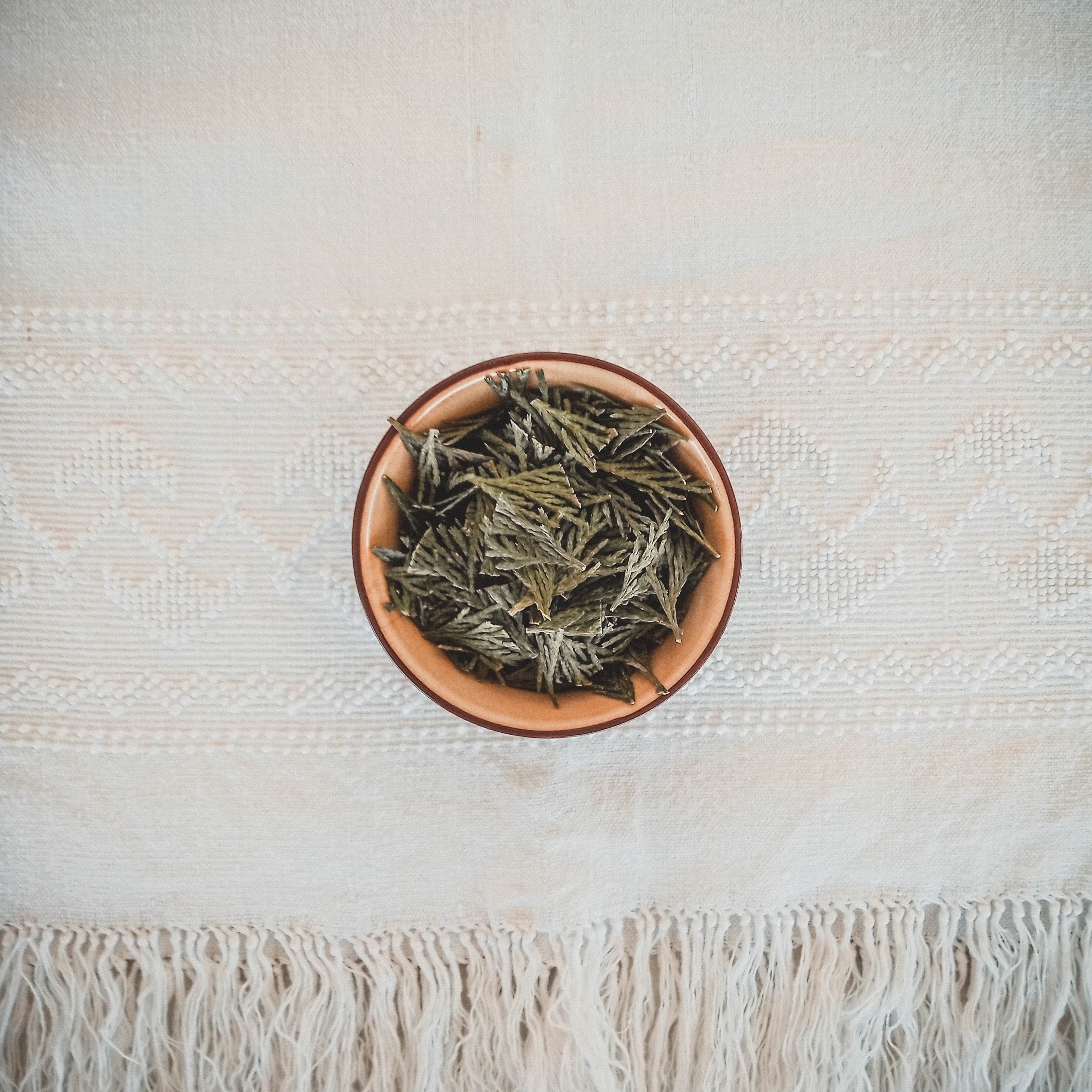 Dried Cedar Leaves - Etsy