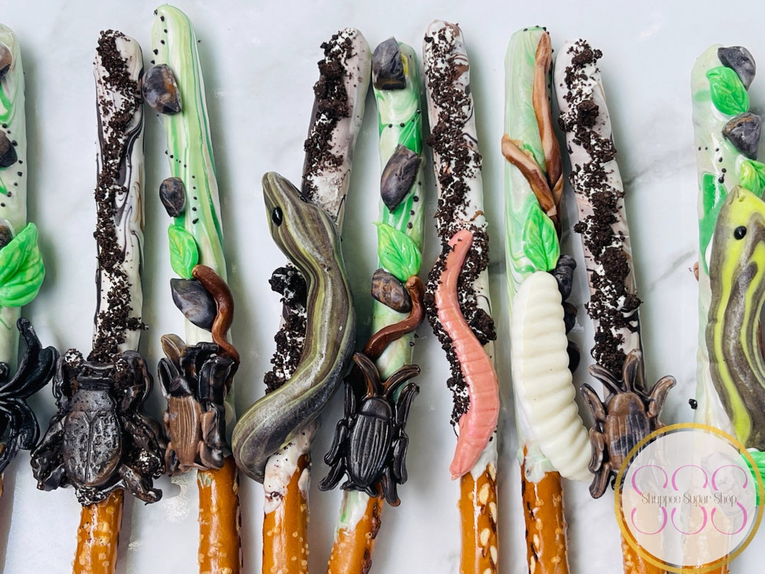 Reptile Insect Chocolate Pretzel Rods: Creepy Crawlers Birthday Party ...