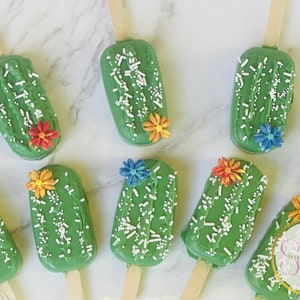 Cactus Cakesicles Custom Birthday Party Favors Mexican Fiesta - Etsy