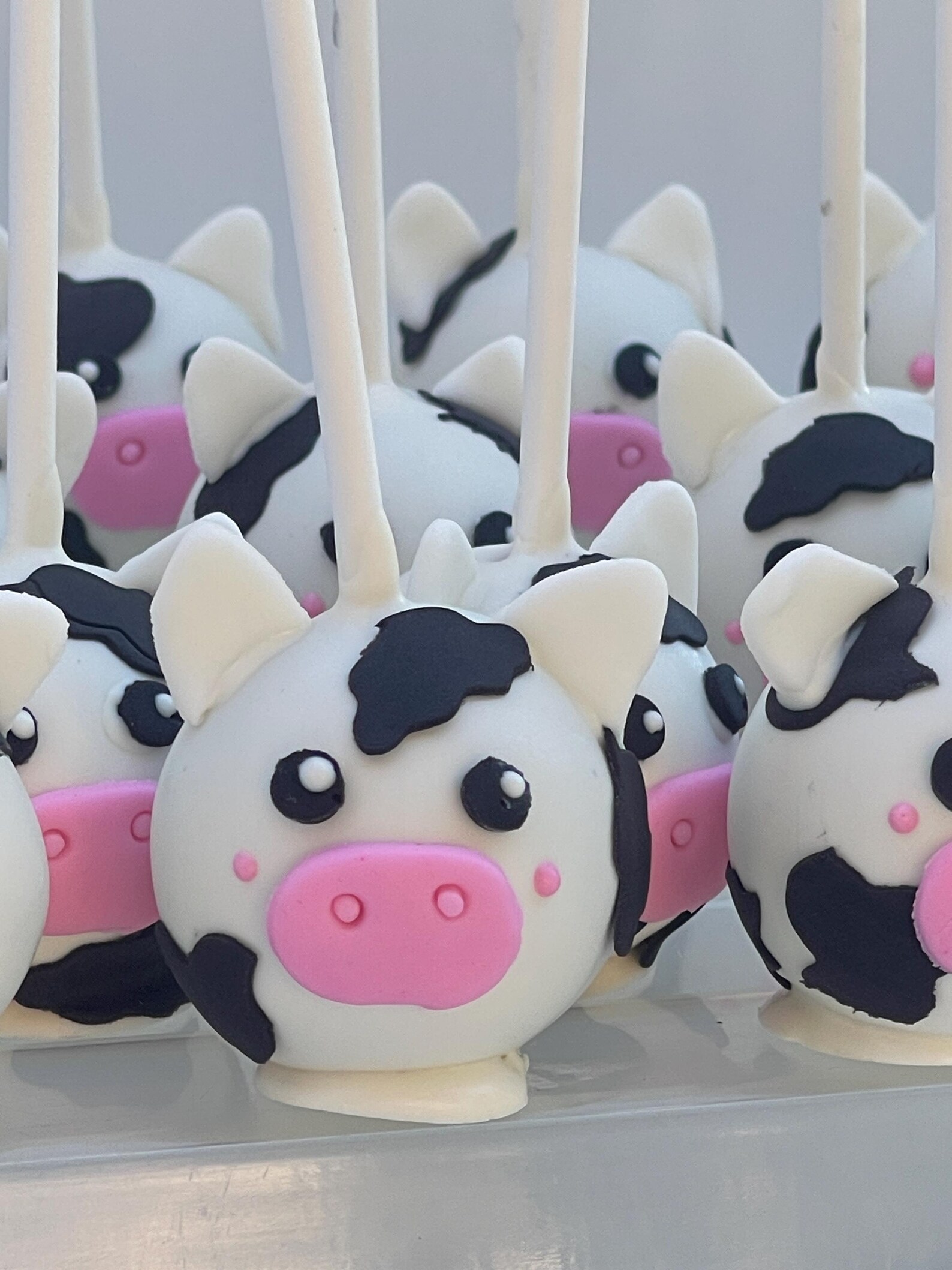 Custom Cow Cake Pops, Barnyard Birthday, Baby Shower, Wedding - Etsy