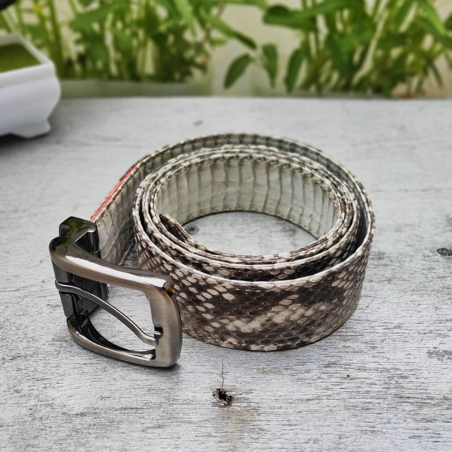 Belt Made of Genuine Phyton Snake Skin Leather 100 % Guarantee | Etsy