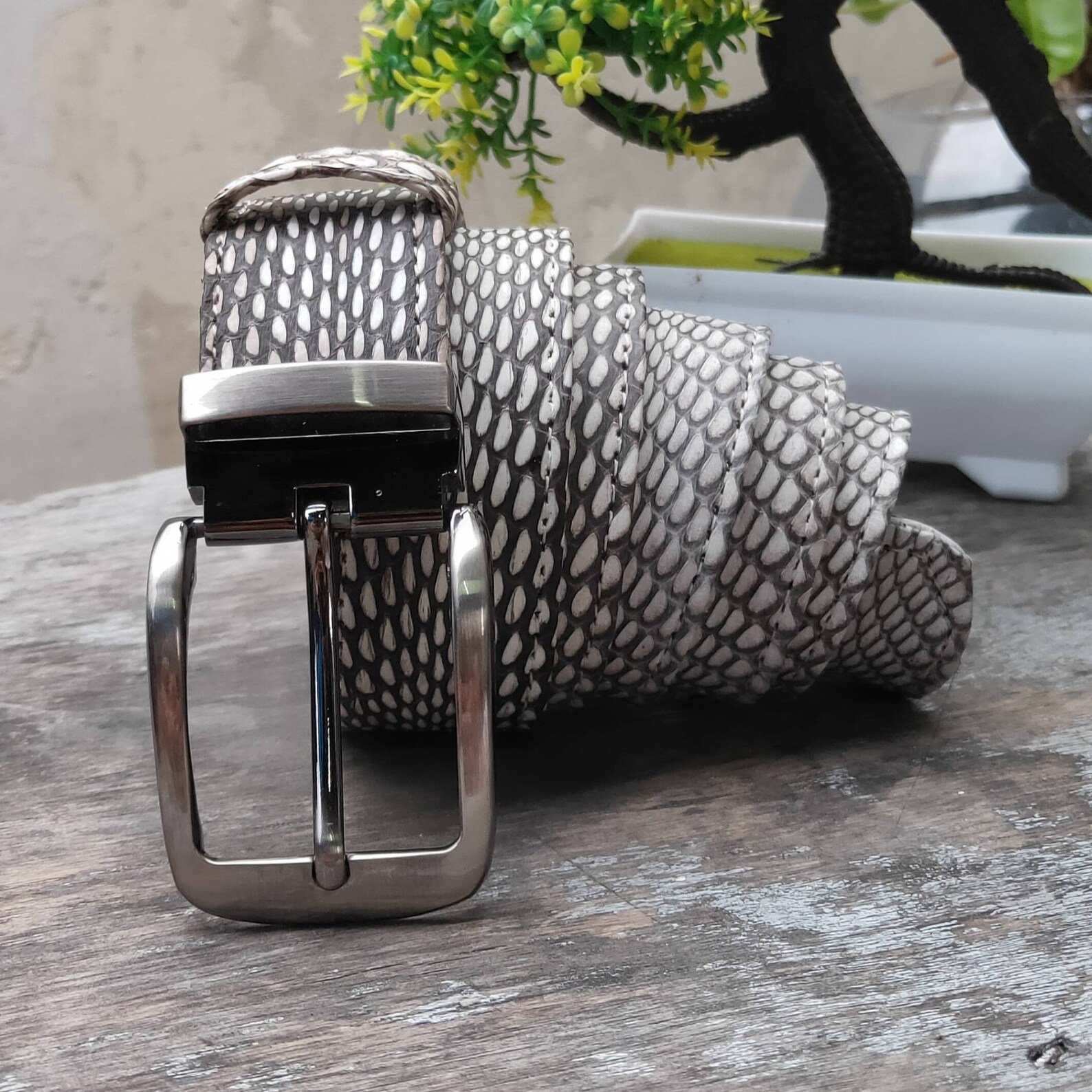 Belt Made of Genuine Cobra Snake Skin Leather 100 % Guarantee - Etsy