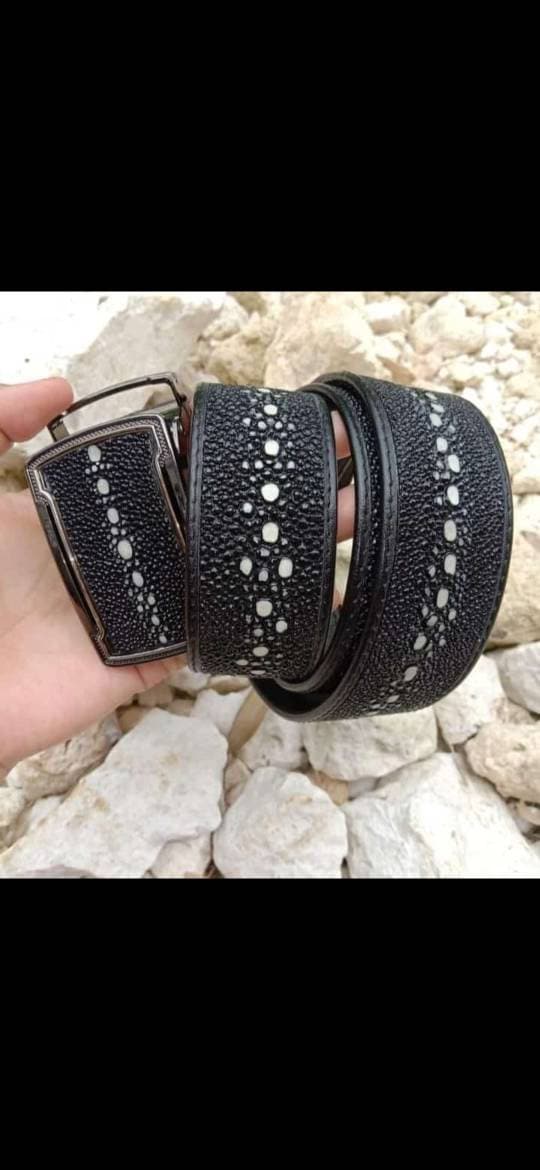 Belt Made of Genuine Stingray Skin Rowstone Type 100 % Guarantee 47 ...