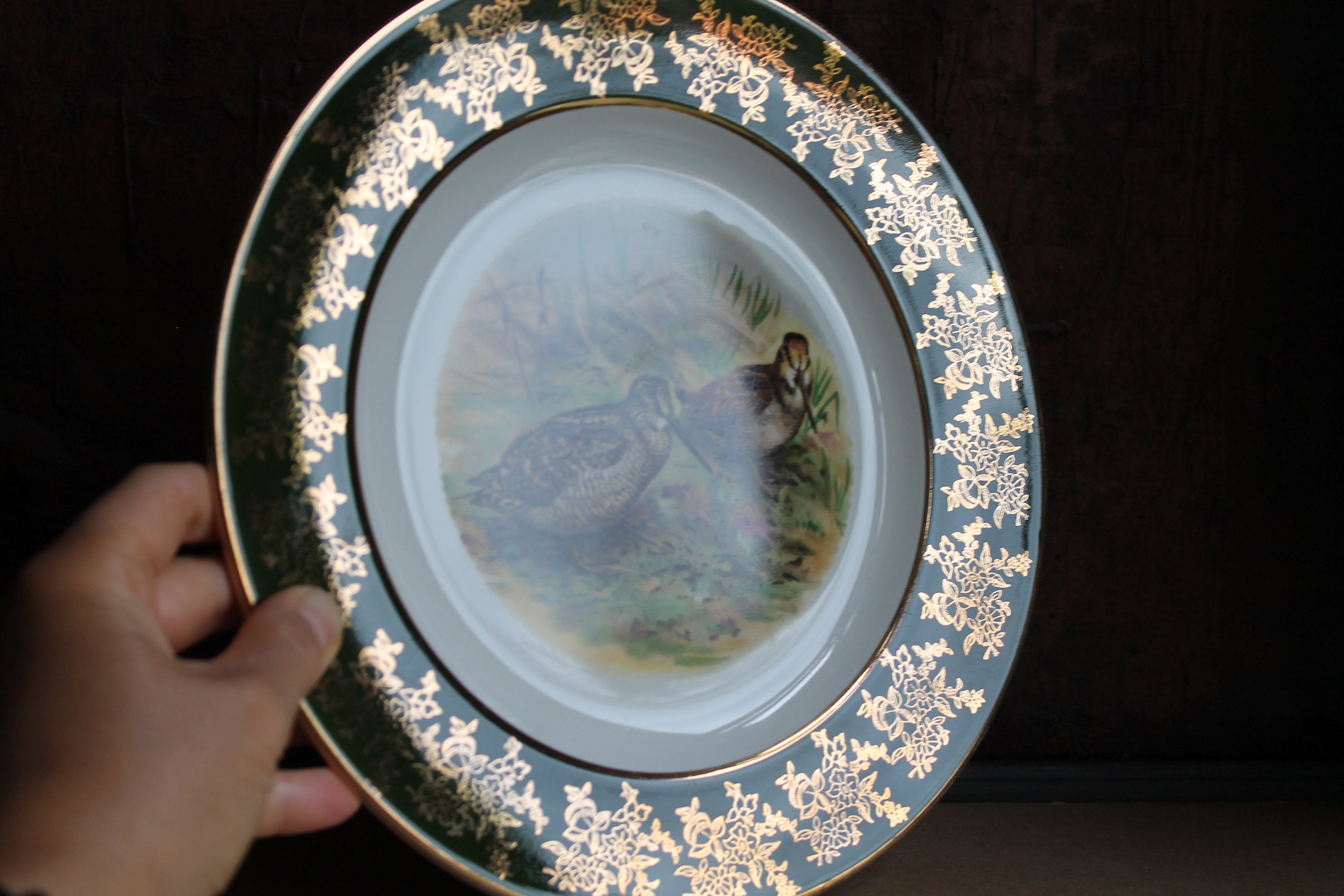 Weatherby Hanley England Royal Falcon Ware 1-77 Plates | Etsy